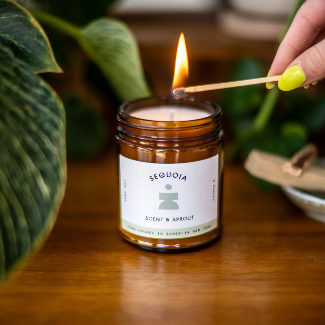 Sequoia – Scent + Sprout